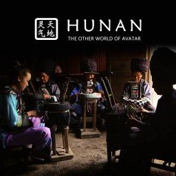 DocuBay - One Tribe. Many Stories.